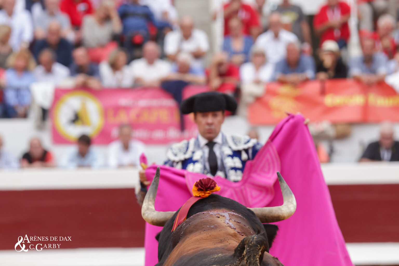 Arènes de Dax – Corridas, spectacles et événements à Dax